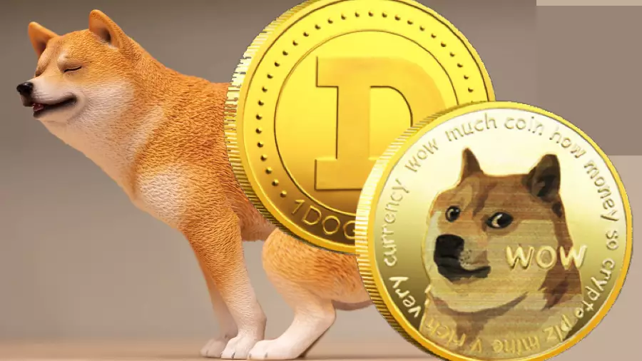 BitInfoCharts: The number of Dogecoin millionaires has almost halved ...