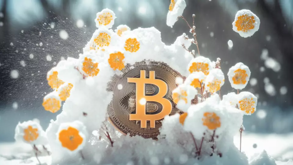 The Human Rights Foundation will allocate 20 BTC to improve the Bitcoin ...