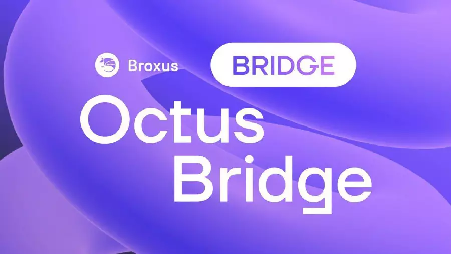 Octus Bridge: Произошел взлом и кража токенов $EVER - Bits Media
