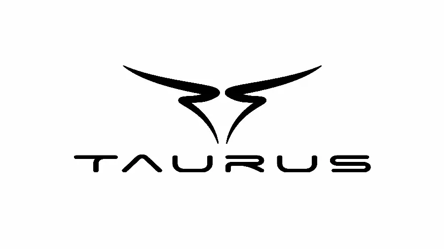 Taurus Adds Polygon Blockchain Support for Asset Tokenization - World ...