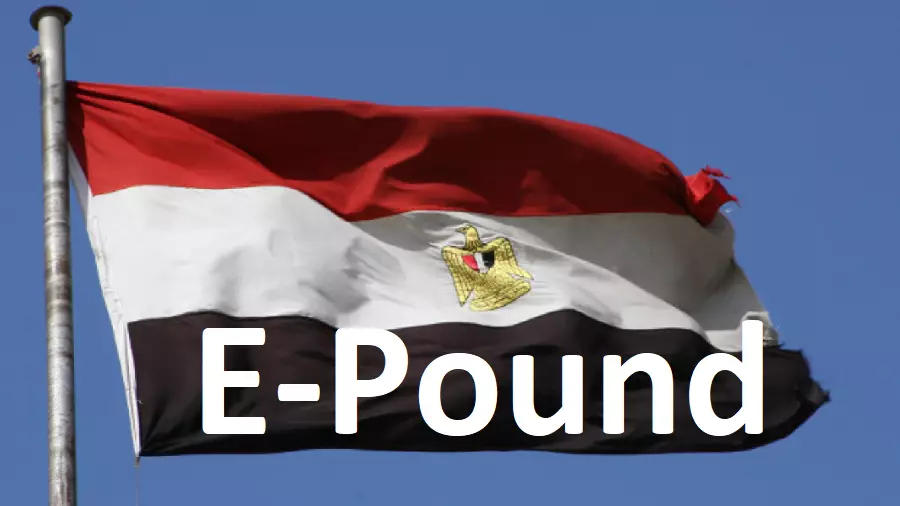 Egypt has announced the timing of the start of the issuance of a ...